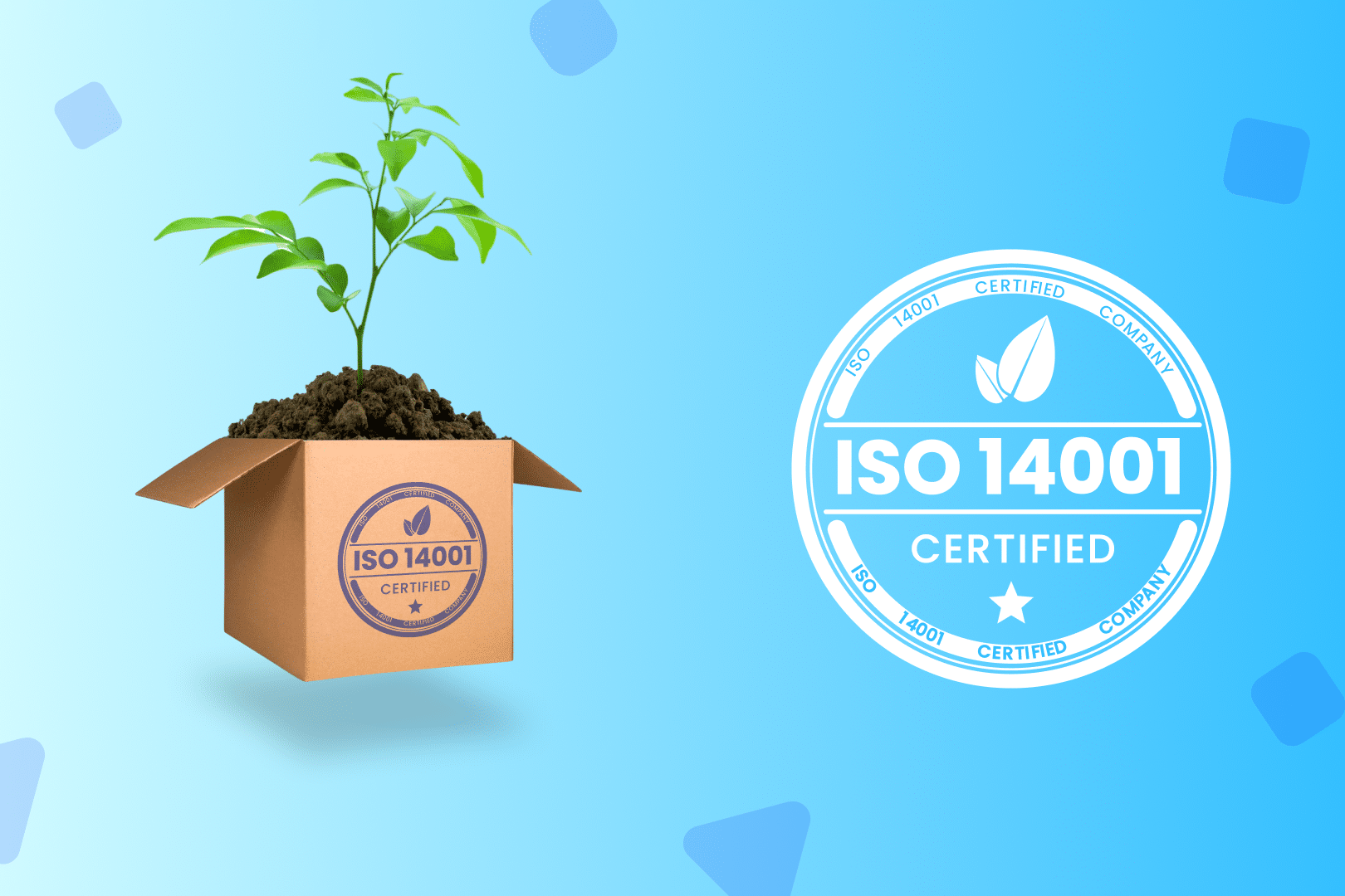 Importancia de la norma ISO 14001 en las empresas - DataScope