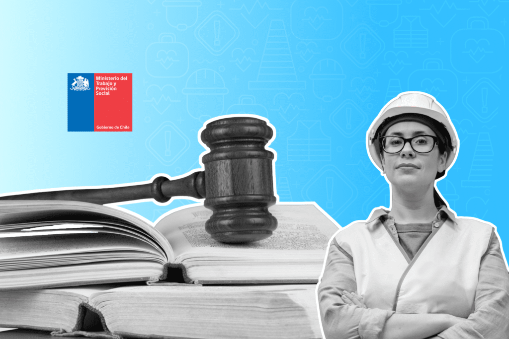 Matriz - Leyes y Decretos Supremos Chile